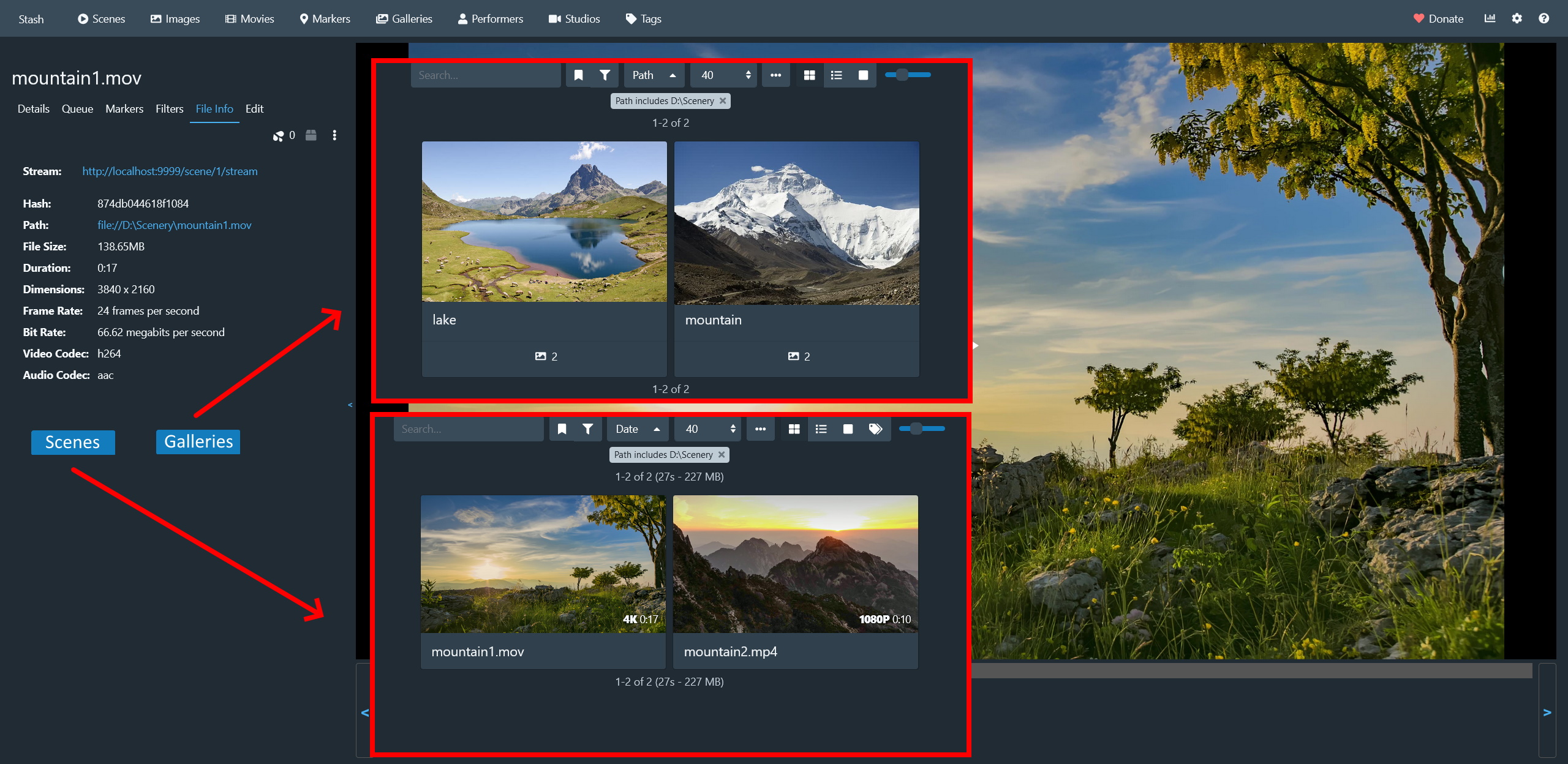 [Feature] Quick buttons for browsing Scenes / Galleries in the same folder · Issue #3080 ...