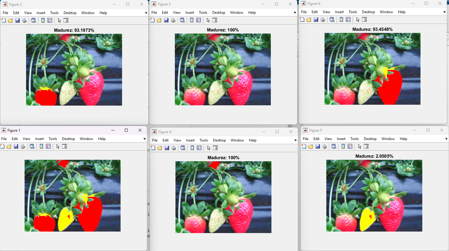 GitHub - albertofermer/Strawberries-maduration-detection