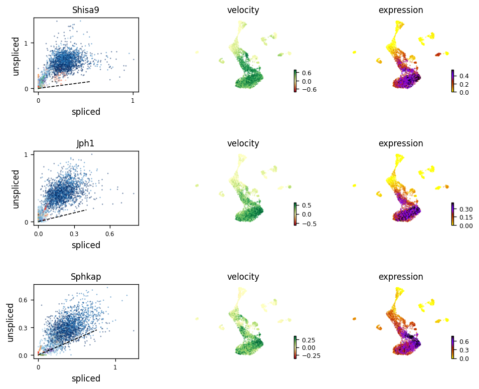 How are cosine correlations being computed? · Issue #250 · theislab/scvelo · GitHub