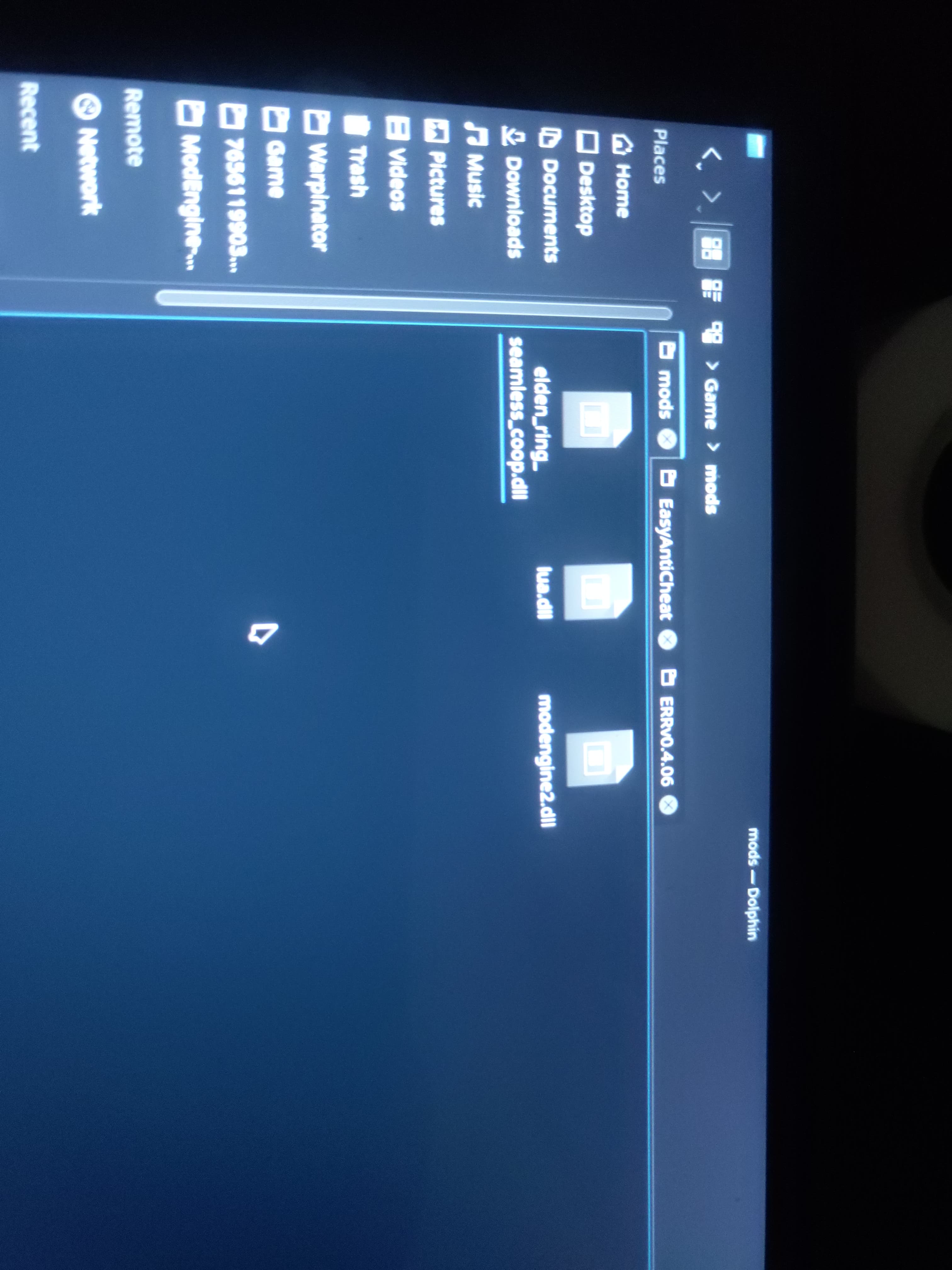 compatibility under Steam deck · Issue #58 · soulsmods/ModEngine2 · GitHub
