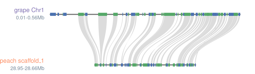 Microsynteny isualization name of the species changes position · Issue ...