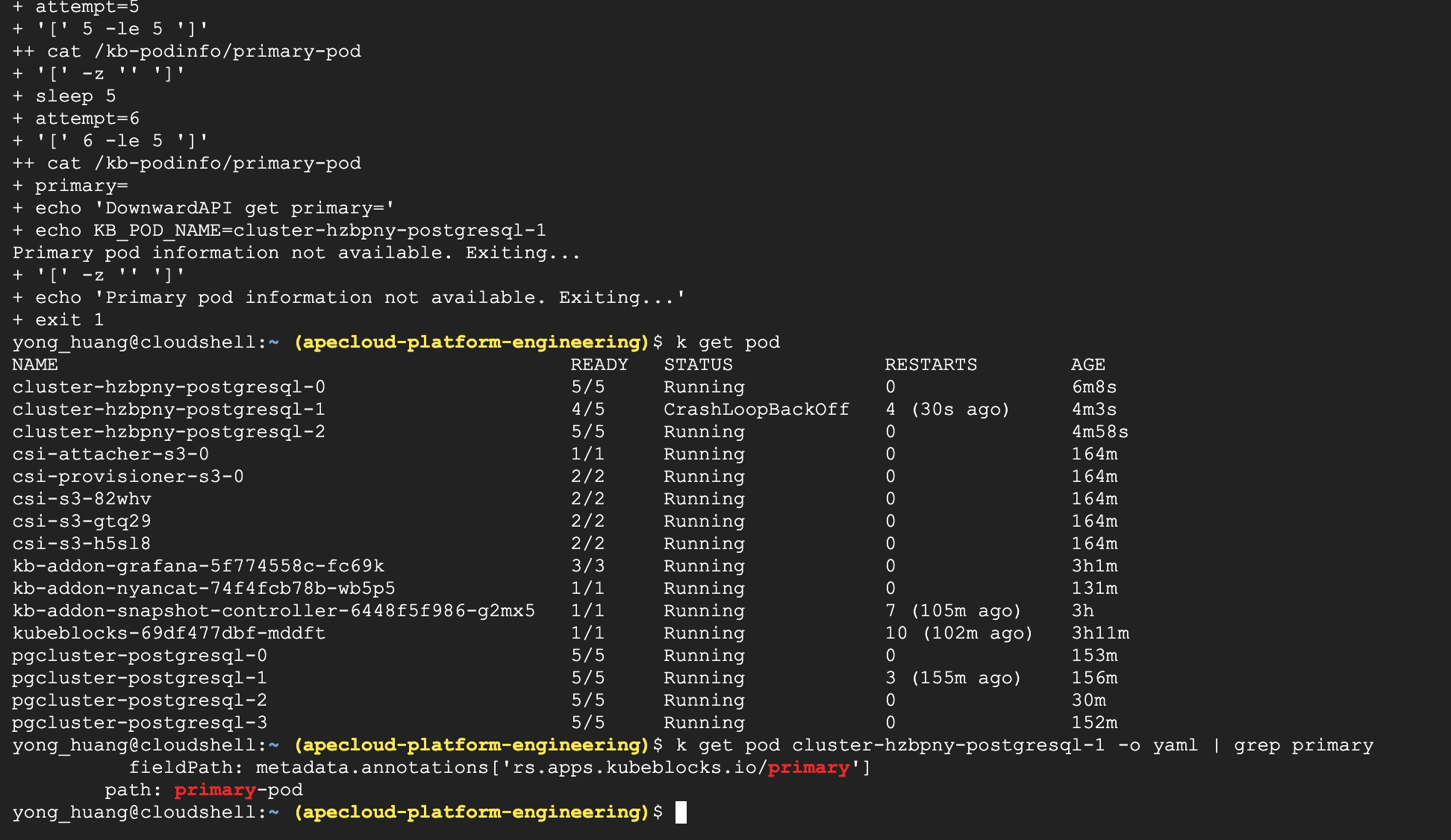 [BUG]PG pod crash and restart for several times after Vscale · Issue #4054 · apecloud/kubeblocks ...