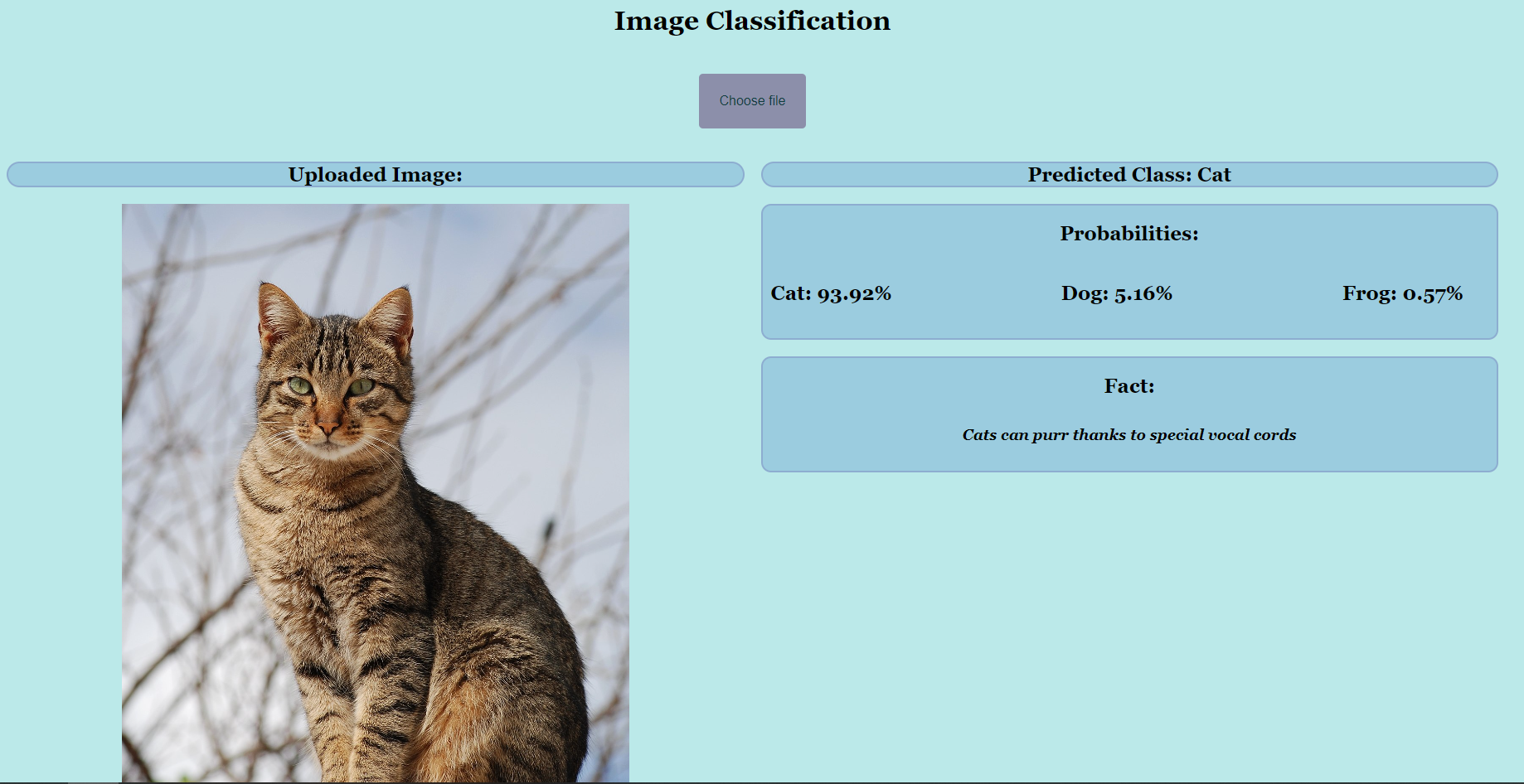 GitHub - ZatokaV/Web-app-for-image-classification