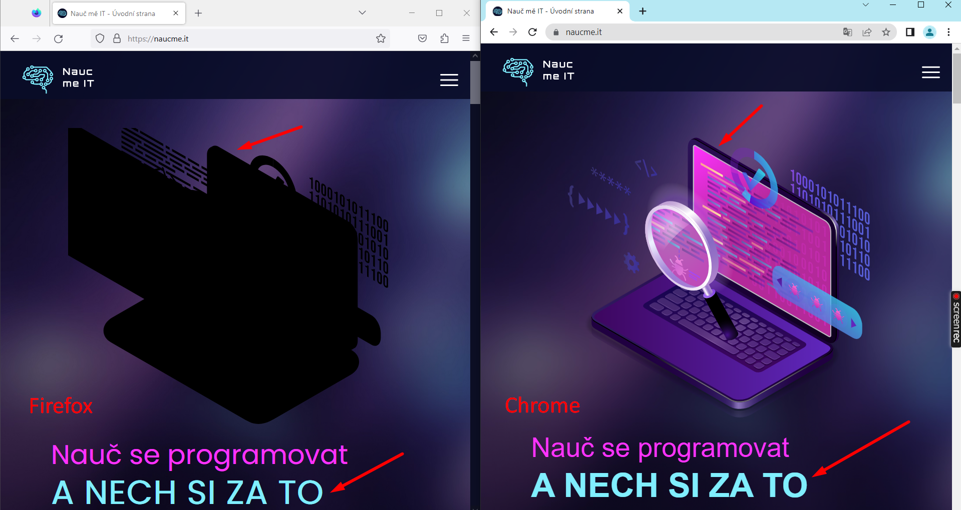 naucme.it - Illustrations are not displayed correctly, paint worklet ...
