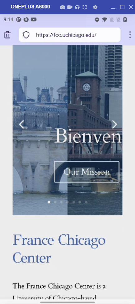 fcc.uchicago.edu - site is not usable · Issue #118909 · webcompat/web-bugs · GitHub