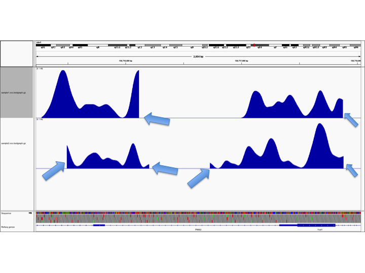 interpreting occupancy begraph file · Issue #80 · GreenleafLab ...