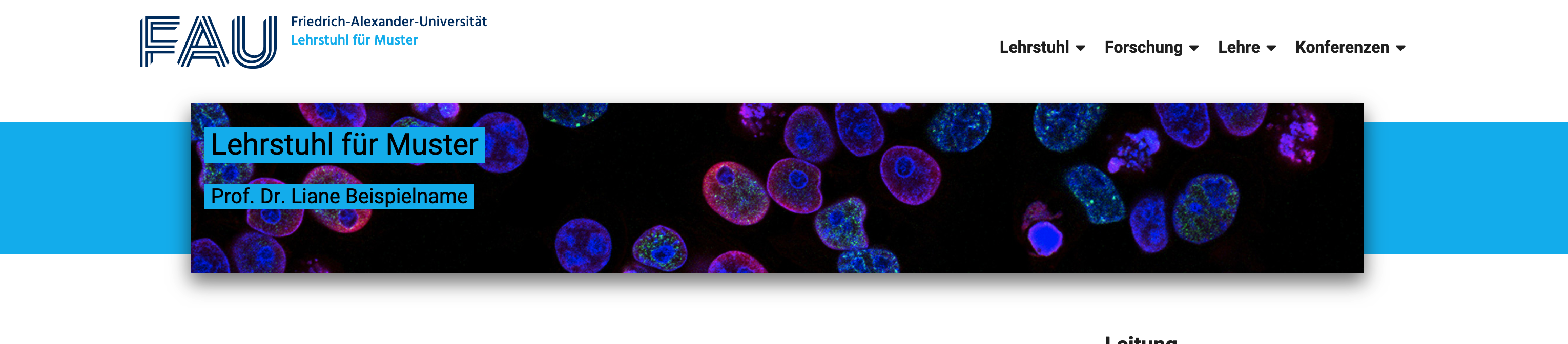 Startseiten-Banner mit falscher maximaler Breite · Issue #1269 · RRZE-Webteam/FAU-Einrichtungen ...