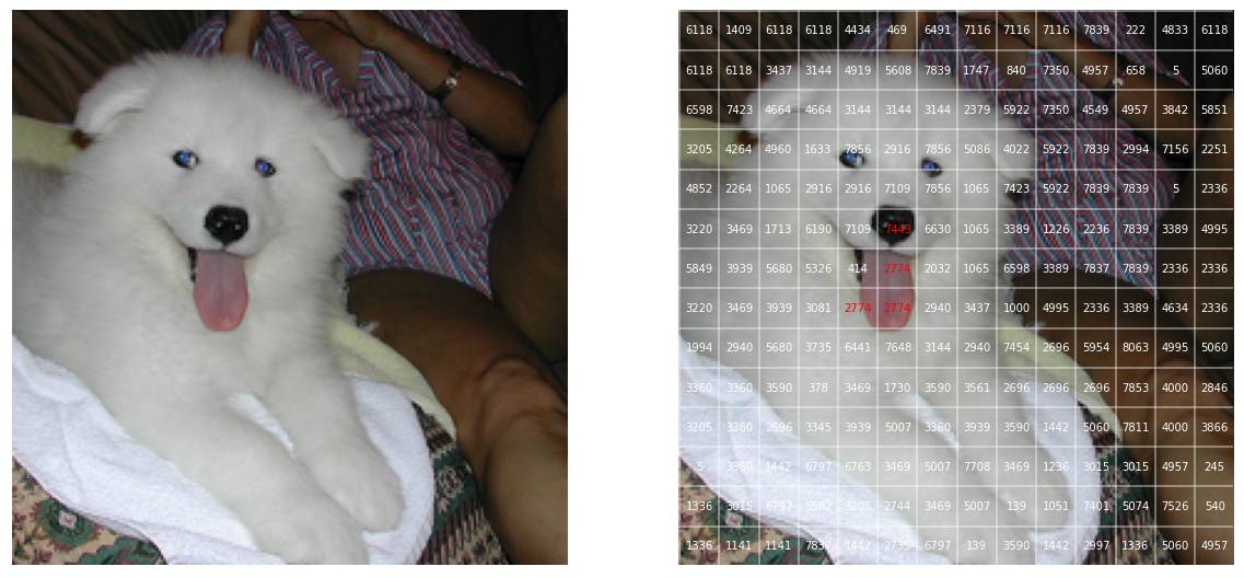 do discrete visual tokens in codebook have semantic infomations in BEiT ...