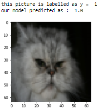 GitHub - KokiYamanaka/Cat-classifier-from-scratch-with-numpy: A simple ...