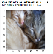 GitHub - KokiYamanaka/Cat-classifier-from-scratch-with-numpy: A simple logistic regression ...