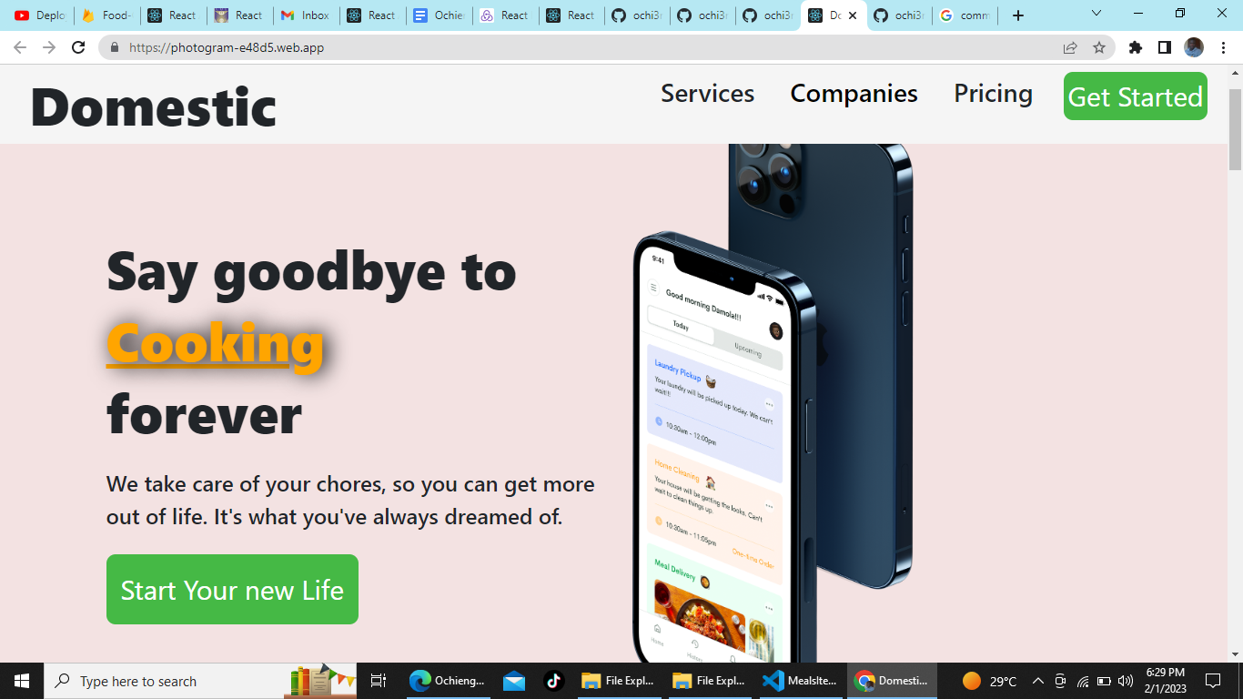 GitHub - ochi3ng/domestic