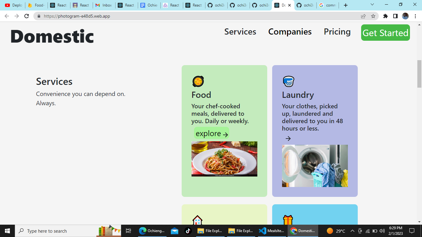 GitHub - ochi3ng/domestic