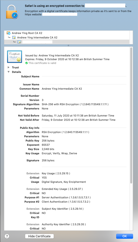 Subject alternative name extension must be marked critical if the "subject" field is empty ...