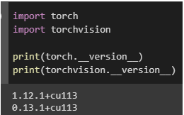 mAP yolov5 validation without Torchvision · Issue #9692 · ultralytics/yolov5 · GitHub