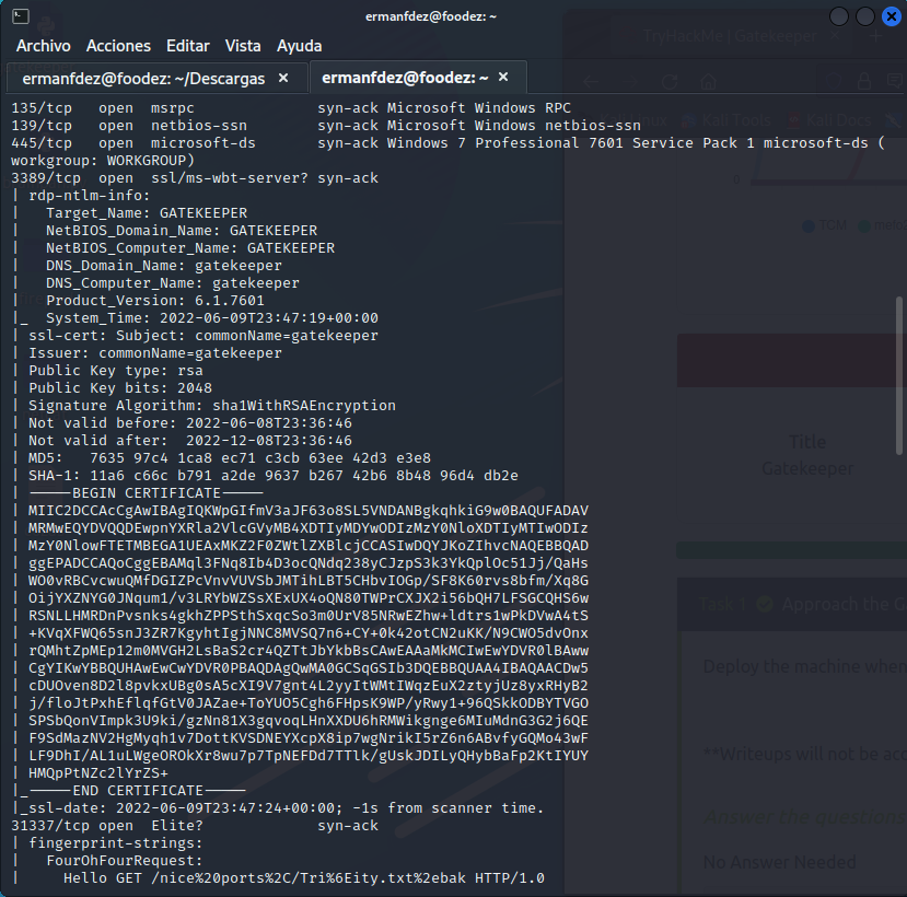 GitHub - f00dez/Gatekeeper-WriteUp: Resolviendo Gatekeeper de Tryhackme, un laboratorio de stack ...
