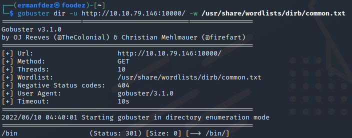 GitHub - f00dez/Brainpan1-WriteUp: Resolviendo Brainpan 1 de Tryhackme, un laboratorio de stack ...