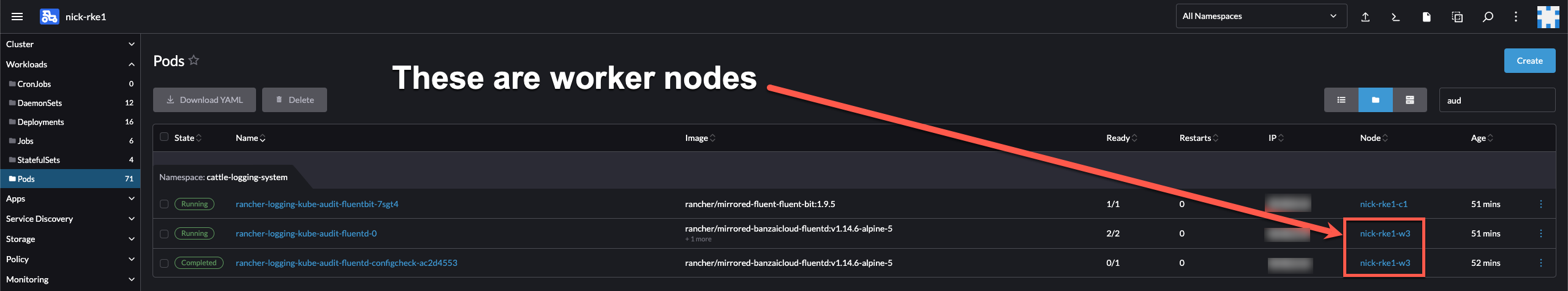 Rancher Logging Kube Audit Pods Should Only Run On Cp Nodes · Issue 