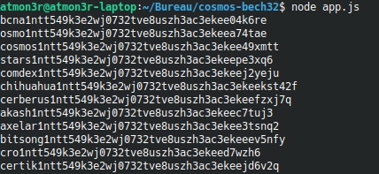 GitHub - atmoner/cosmos-bech32