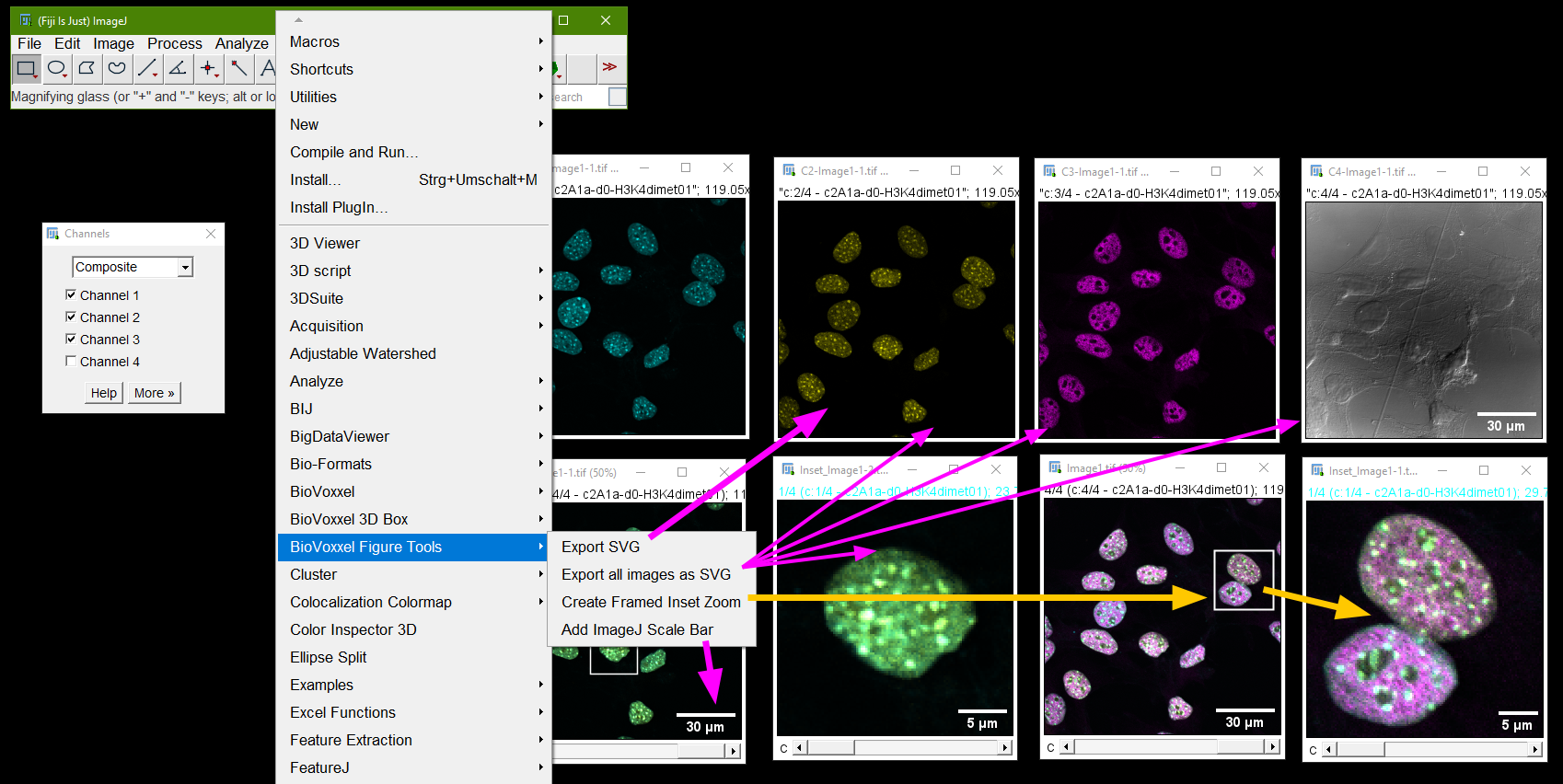 GitHub - biovoxxel/BioVoxxel-Figure-Tools