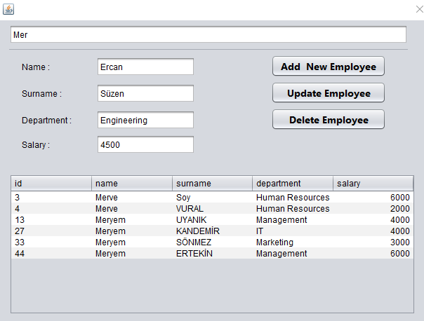 GitHub - ErcanSuzen/Company-Employees-Database-Registration-Project