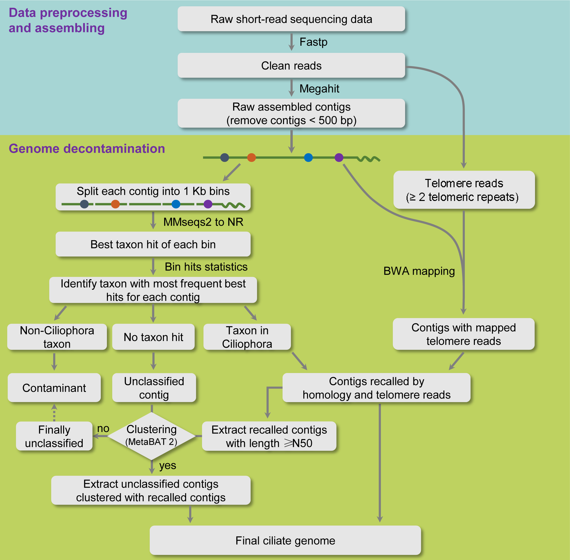GitHub - GWang2022/iGDP: An integrated Genome Decontamination Pipeline ...