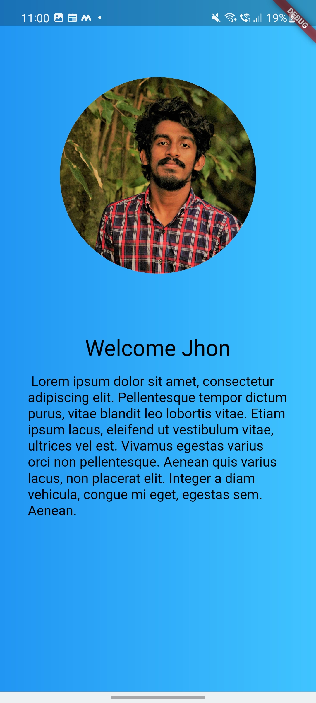 GitHub - adwaithasok/Log-In-UI-Flutter: Simple Log in UI Using Flutter