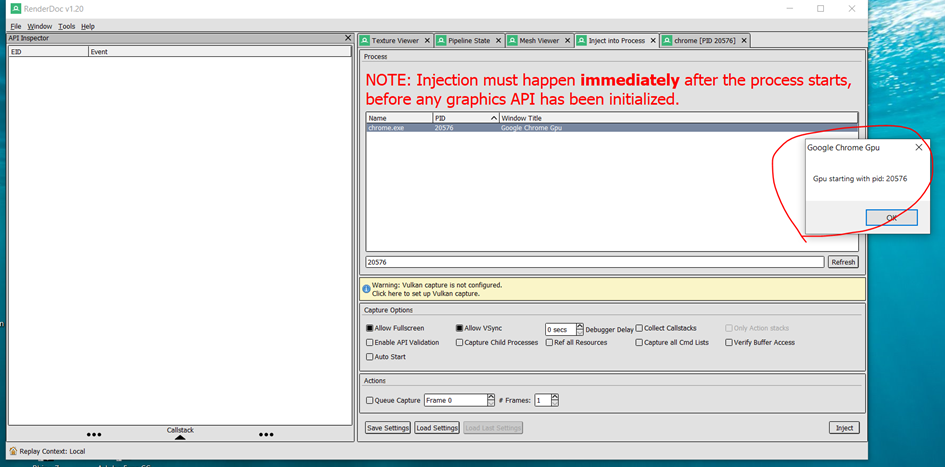 API cant activated · Issue #2609 · baldurk/renderdoc · GitHub