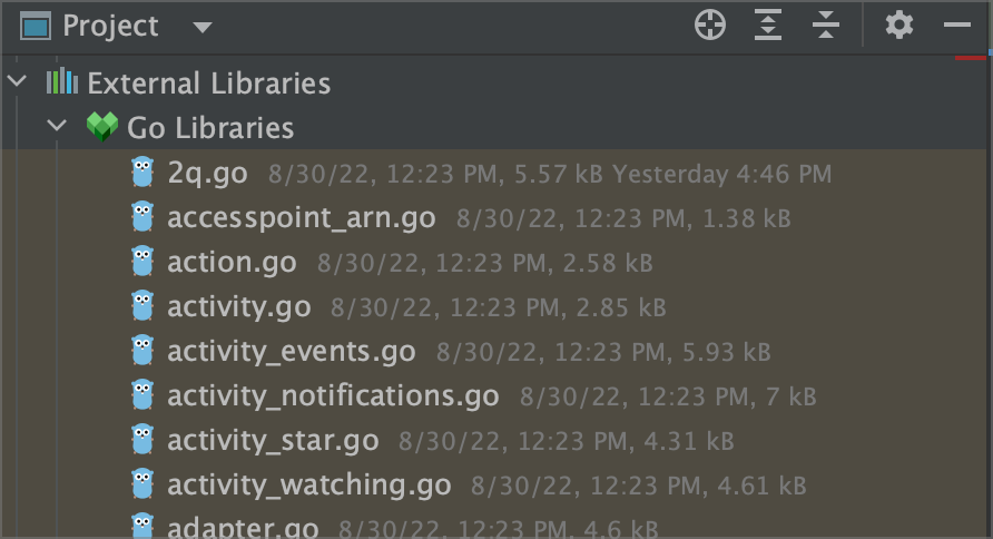 Unresolved type in Goland go code · Issue #3908 · bazelbuild/intellij · GitHub