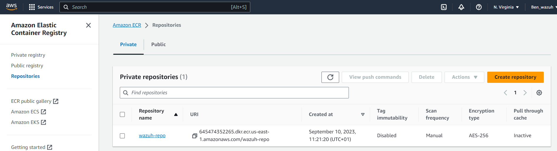 Release 460 Alpha 1 E2e Ux Tests Amazon Cloudwatch Logs 