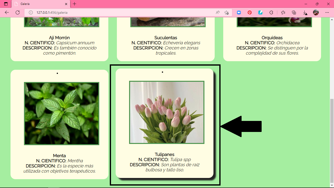 GitHub - mimird06/PlantNaville: Página web sencilla para ver y subir información de Plantas.