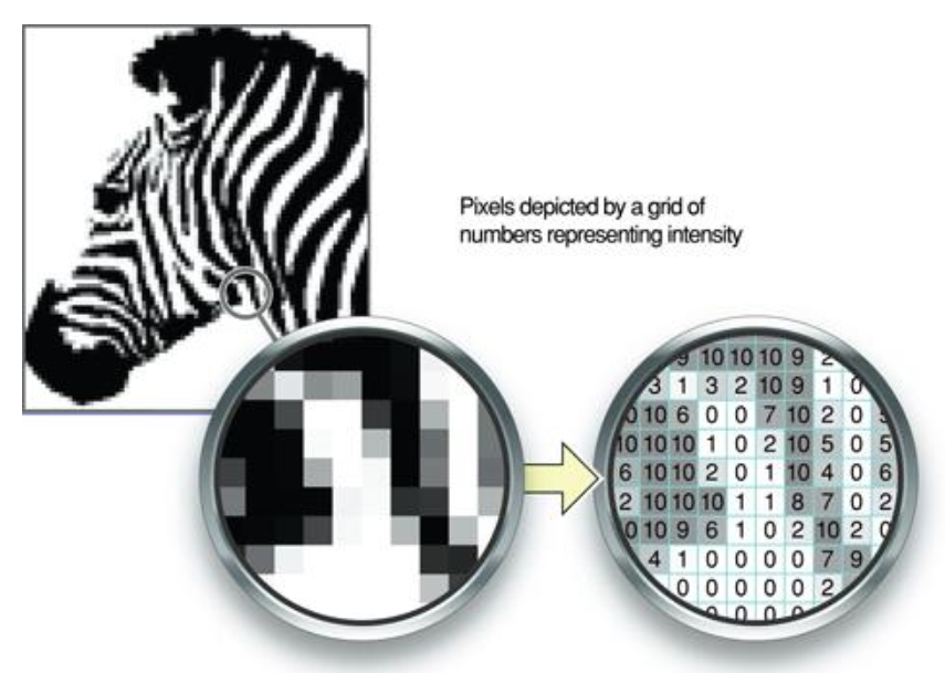 GitHub - ErfanPanahi/Audio-and-Image-Processing: In the image processing section of this ...