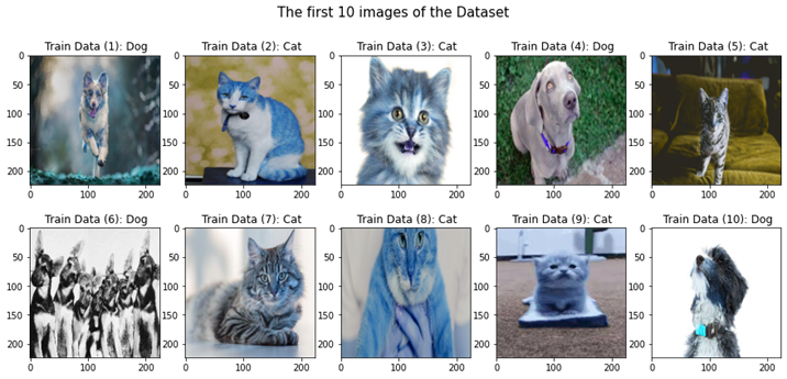 GitHub - ErfanPanahi/Transfer-Learning: In this repository, I intend to ...