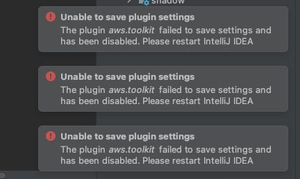 Failed to set up software.aws.toolkits.jetbrains.core.credentials.profiles ...