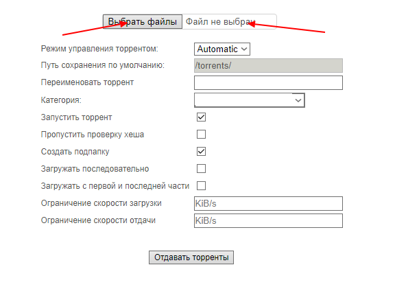 Pass WEB-UI URL to file path? · Issue #12424 · qbittorrent/qBittorrent · GitHub