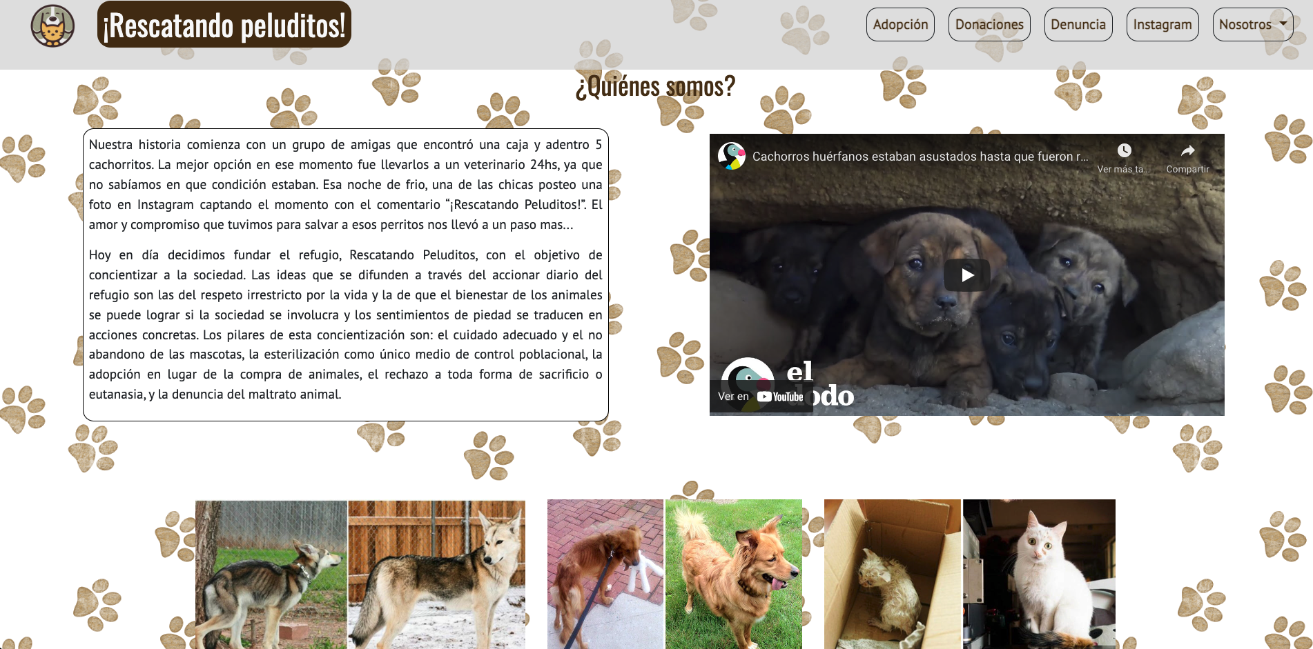 GitHub - jmerchxn/proyecto-peluditos: Peluditos es un proyecto de página web para el curso de ...