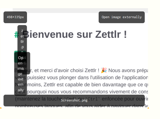 Popup on image is too small when small image · Issue #3953 · Zettlr/Zettlr · GitHub