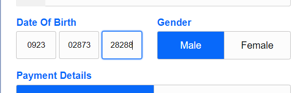 [Bug]: Date of Birth Input Length Validation · Issue #20 · theravi04 ...