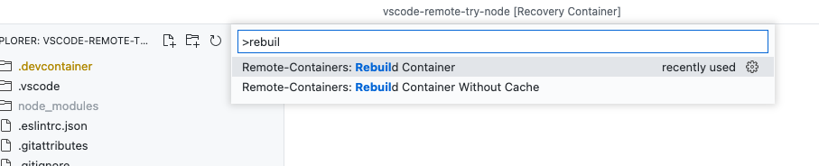Rebuild Without Cache and Reopen in Container command is not shown in recovery container · Issue ...