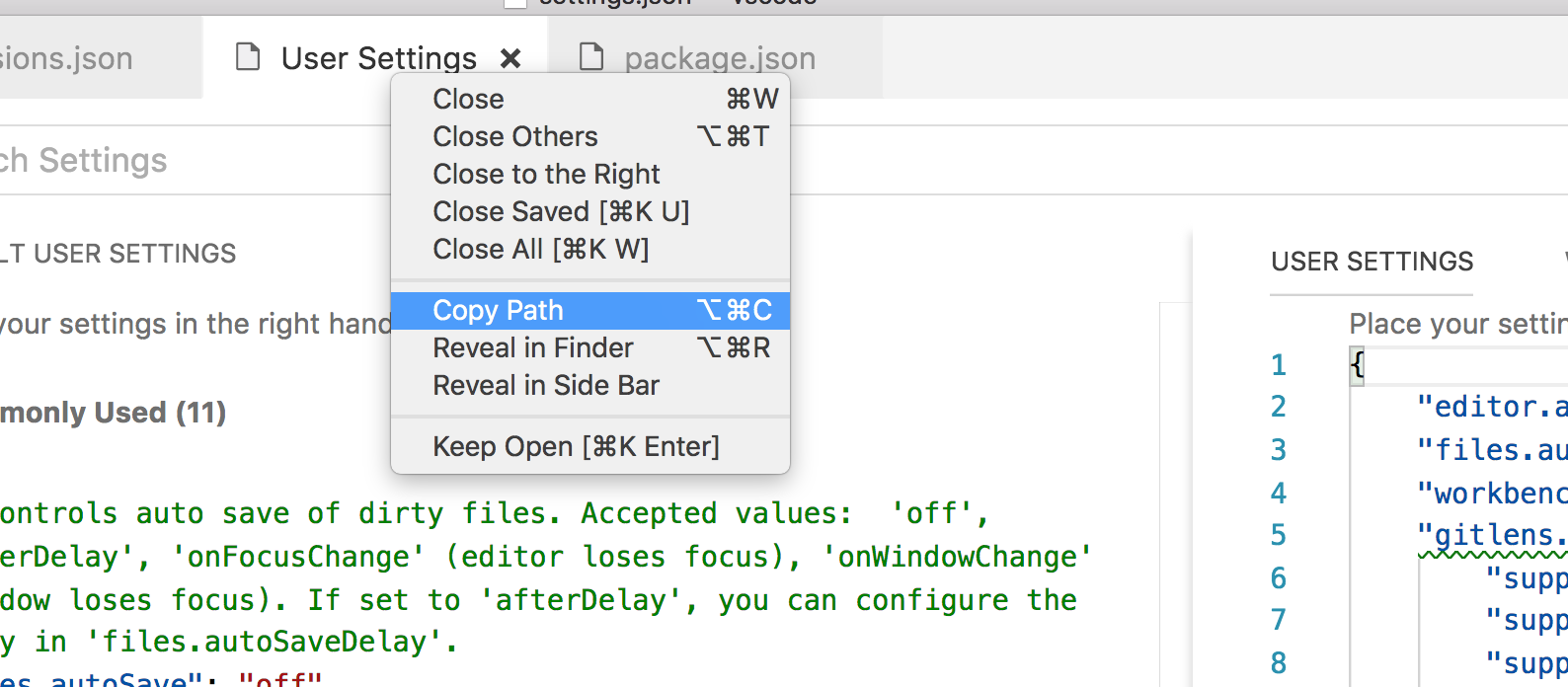 Expose / Copy path to user settings file · Issue #48581 · microsoft ...