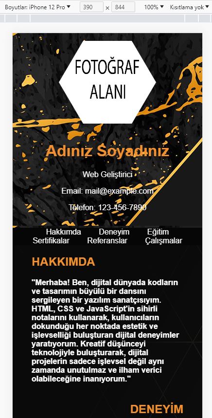 GitHub - BagaturBey/Basic-sample-cv-site: Sample cv site