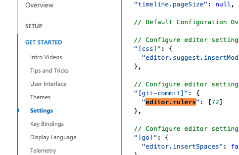 "Editor Rulers" issues in settings panel · Issue #97591 · microsoft/vscode · GitHub