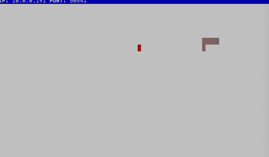 GitHub - merinnaa/snake-client