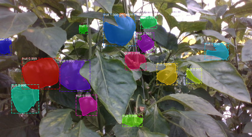 GitHub - dassdinho/green_sweet_pepper_detection_using_mask_rcnn