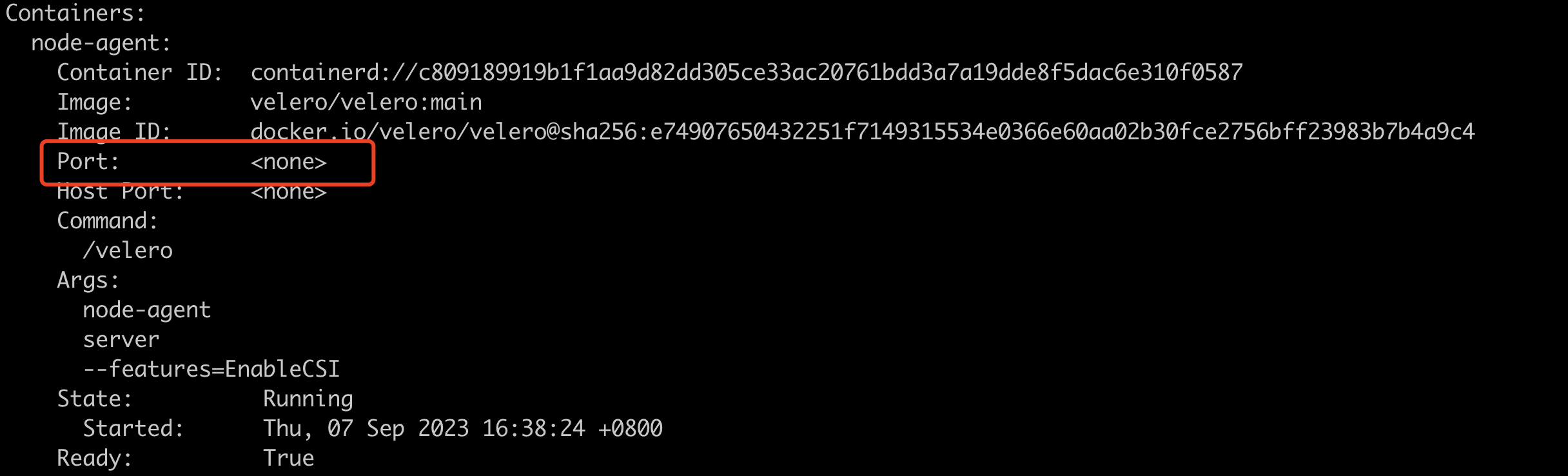 Port 8085 should be allocated to the server within the node agent pod. · Issue #6792 · vmware ...