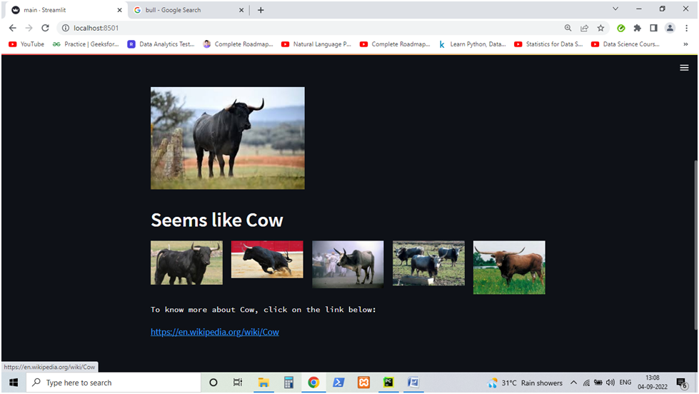 GitHub - Neeraj6197/Animal-Nation-DeepLearningProject