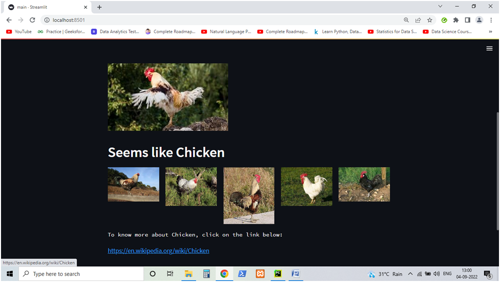 GitHub - Neeraj6197/Animal-Nation-DeepLearningProject