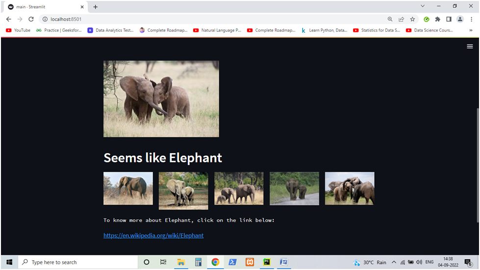 GitHub - Neeraj6197/Animal-Nation-DeepLearningProject