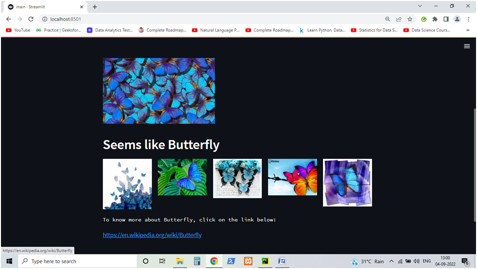 GitHub - Neeraj6197/Animal-Nation-DeepLearningProject