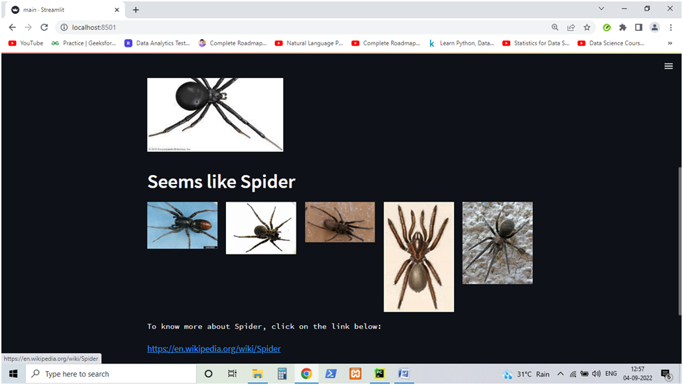GitHub - Neeraj6197/Animal-Nation-DeepLearningProject