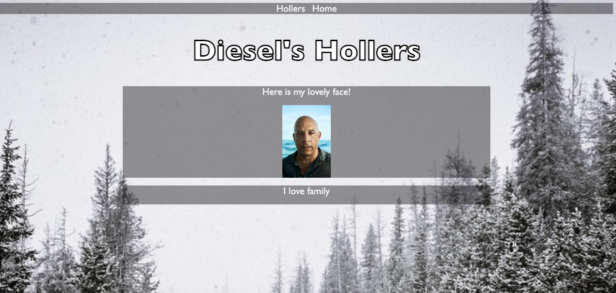 GitHub - ShahryarAbbasi/Project_2_Holler